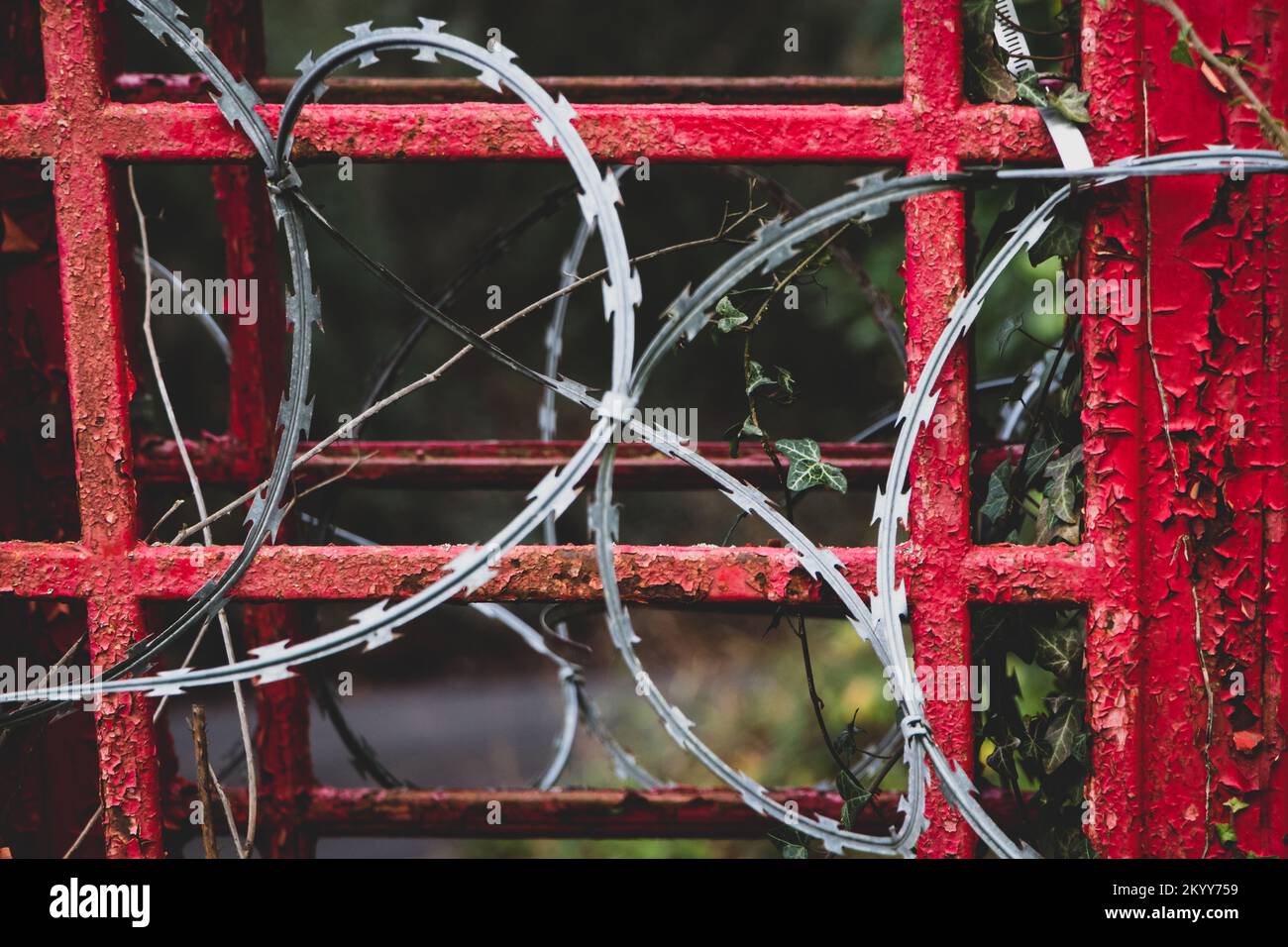 Razor wire around a classic red telephone box Stock Photo - Alamy