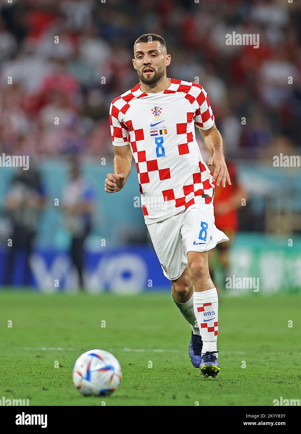 1st December 2022; Ahmed bin Ali Stadium, Al Rayyan, Qatar; FIFA World ...