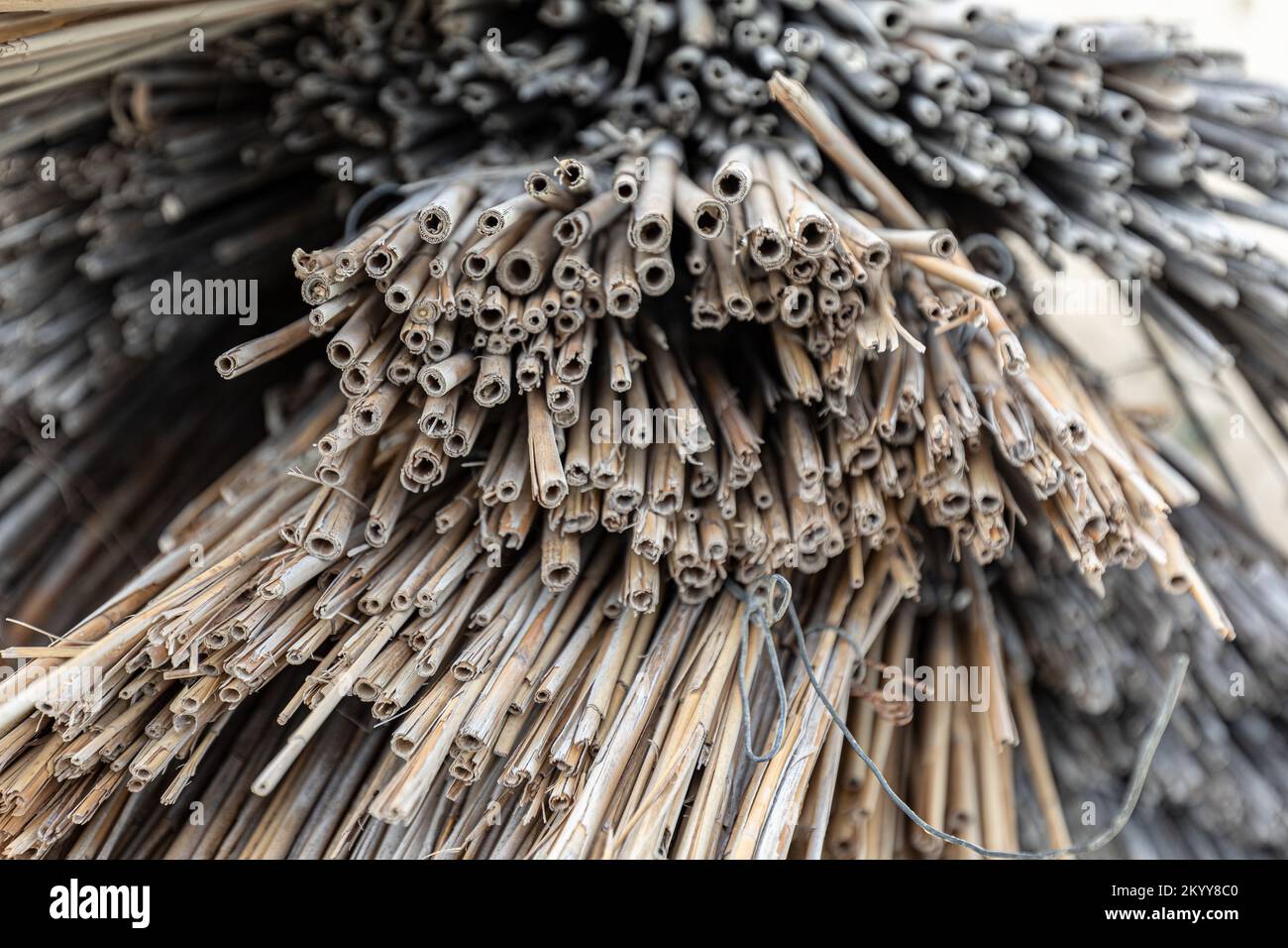 cut reeds for beach umbrella gray color background texture Stock Photo ...