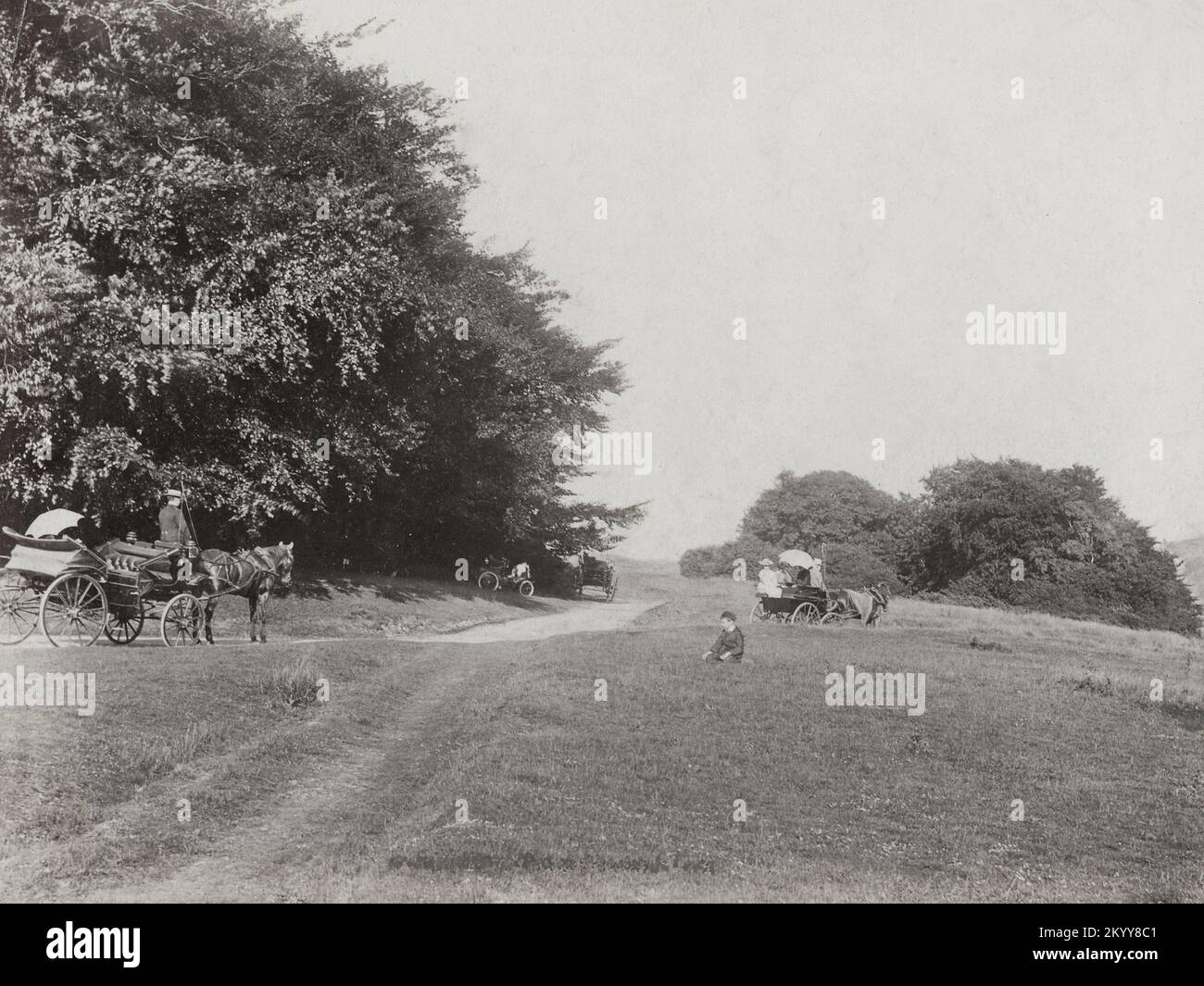 Vintage photograph - 1904 -Horses and carts at Newland's Corner, Merrow ...