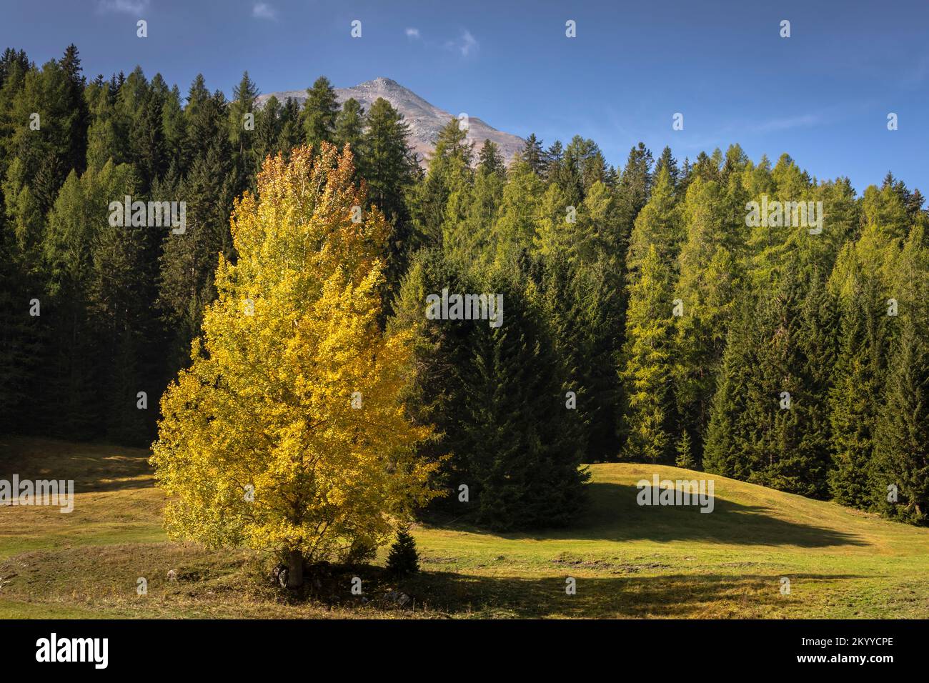 Lower engadin switzerland scuol hi-res stock photography and images - Alamy
