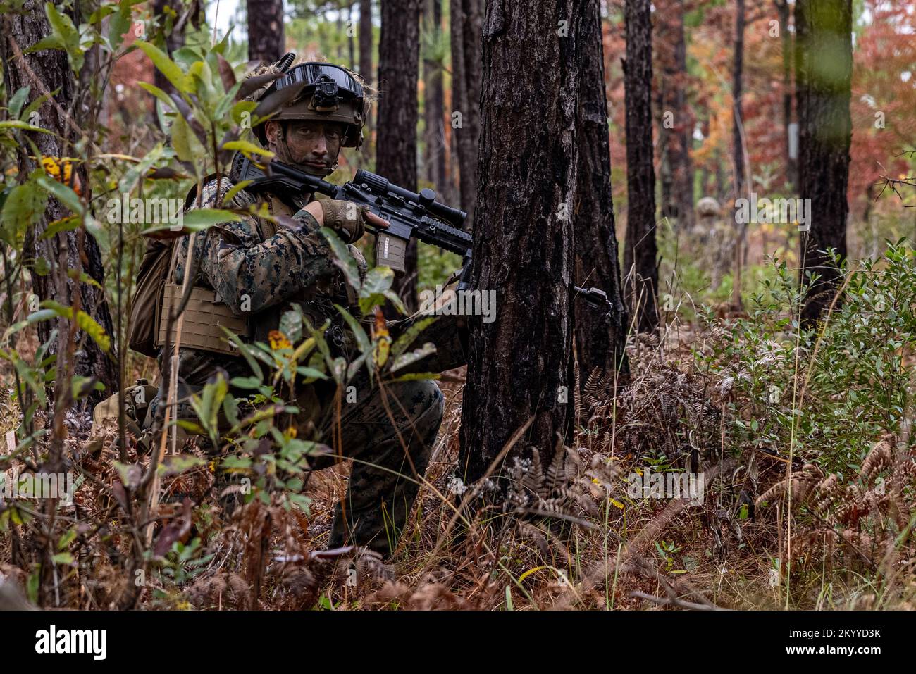 A U.S. Marine with 1st Battalion, 6th Marine Regiment, 2d Marine ...