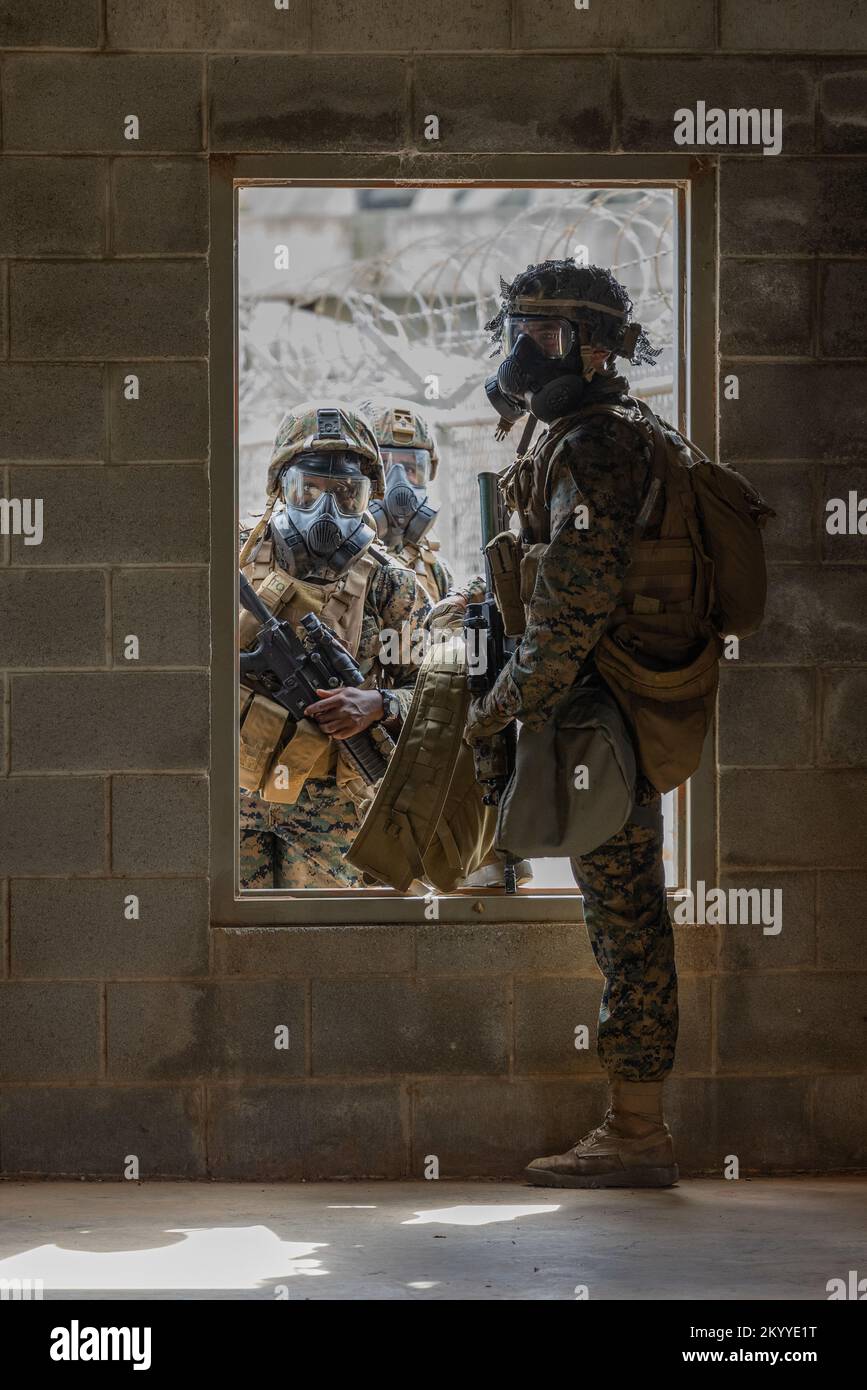 U.S. Marines with Marine Wing Support Squadron (MWSS) 273, Marine Air ...