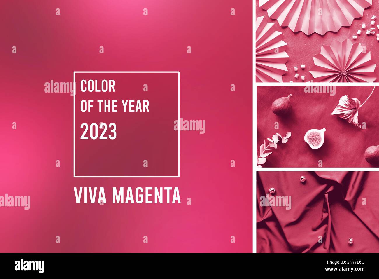 Viva Magenta color of the year 2023. Trendy fashion color palette ...