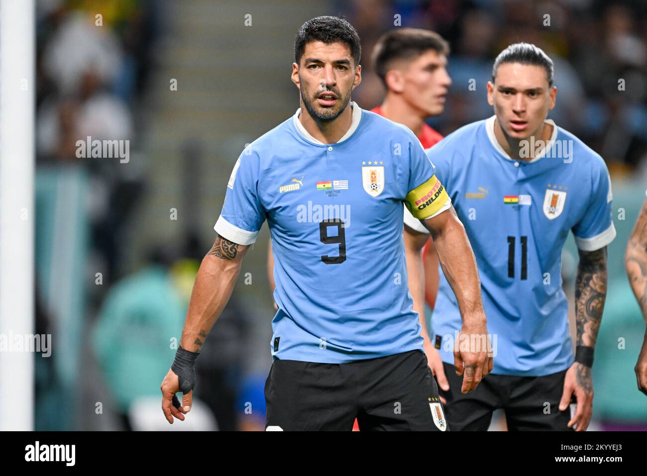 Al Wakrah, Qatar. 02nd Dec, 2022. Luis Suarez of Uruguay during the ...