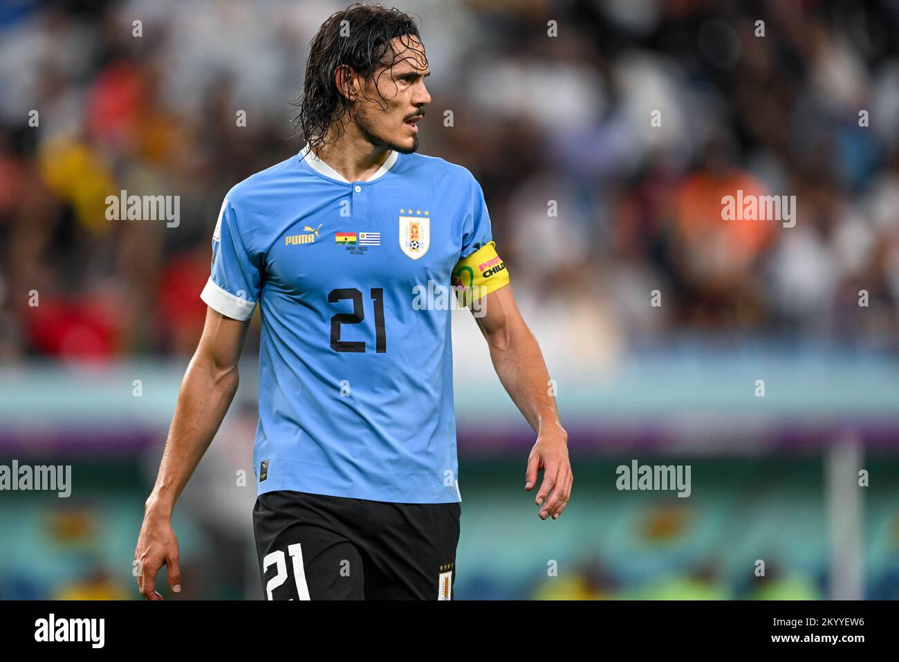 Al Wakrah, Qatar. 02nd Dec, 2022. Edinson Cavani of Uruguay during the ...