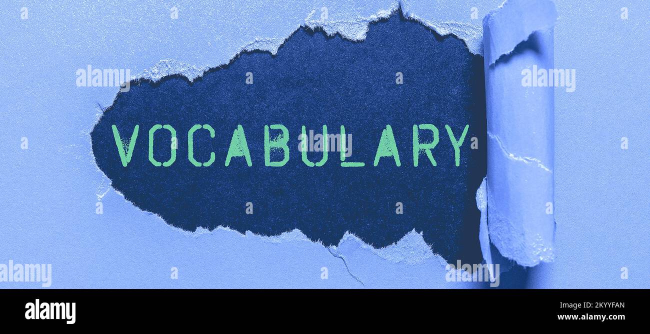 Conceptual display Vocabulary. Conceptual photo collection of words and ...