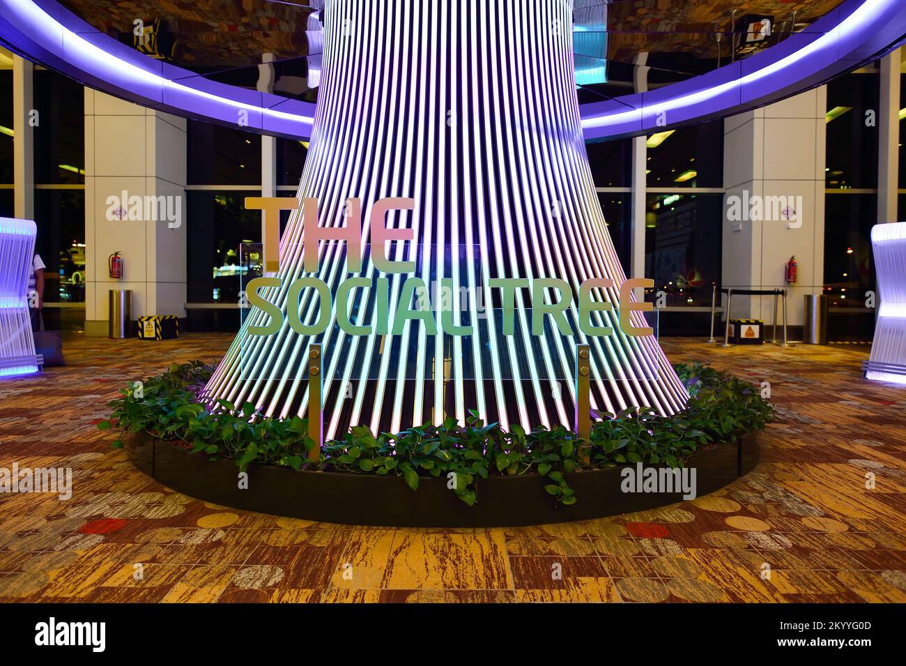 SINGAPORE - NOVEMBER 09, 2015: The Social Tree at Changi Airport. The ...