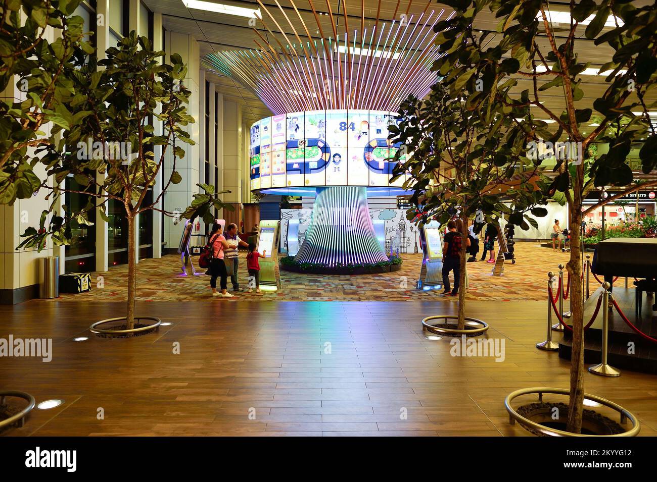 SINGAPORE - NOVEMBER 09, 2015: The Social Tree at Changi Airport. The ...