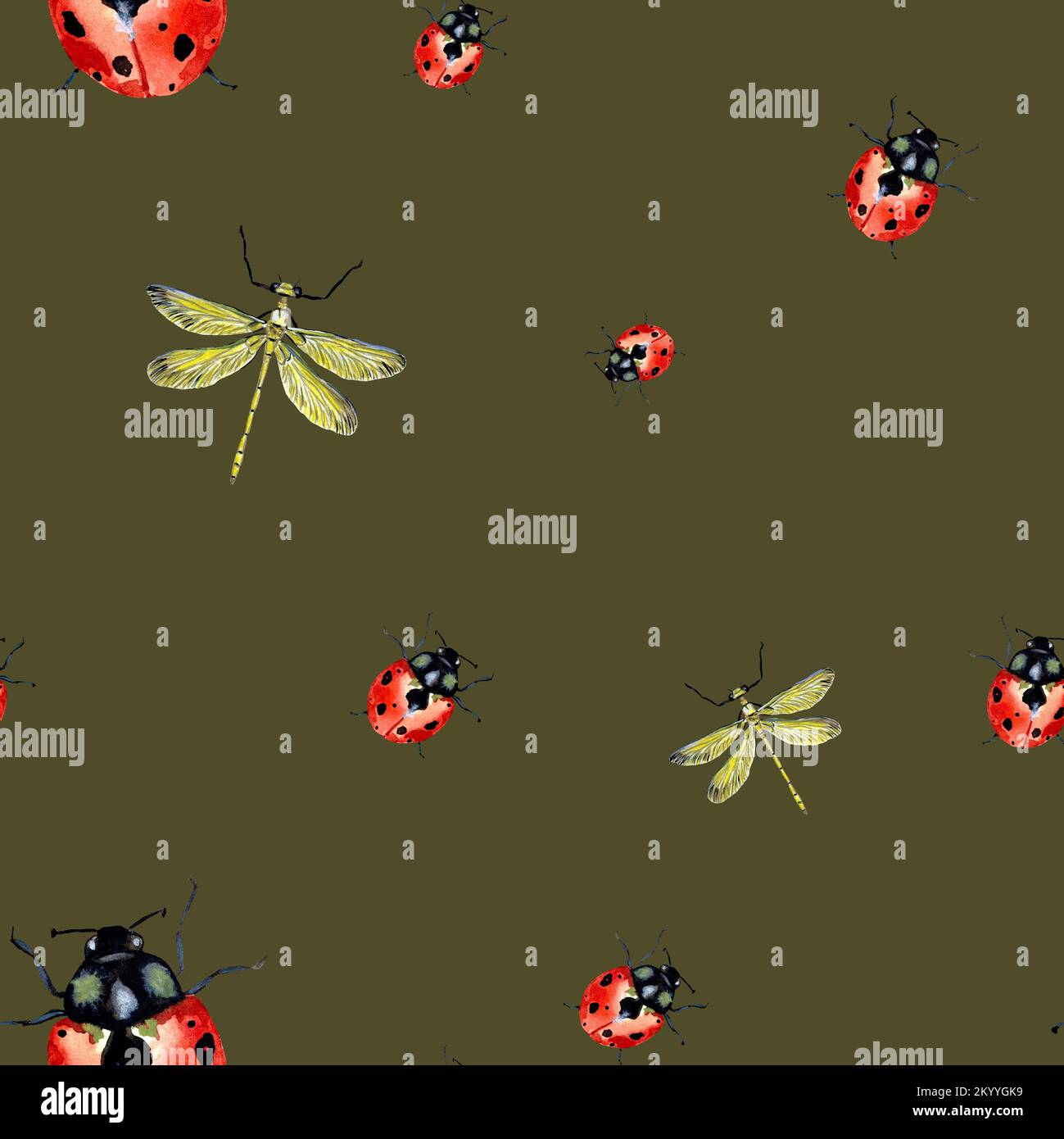 Seamless dragonfly pattern hi-res stock photography and images - Alamy