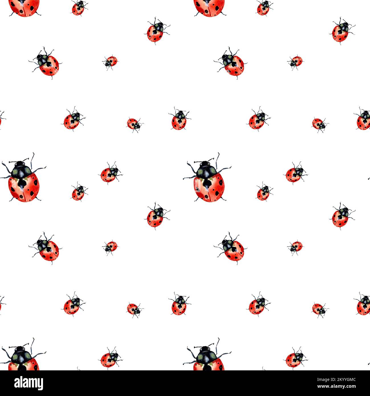 Cute ladybug logo hi-res stock photography and images - Alamy