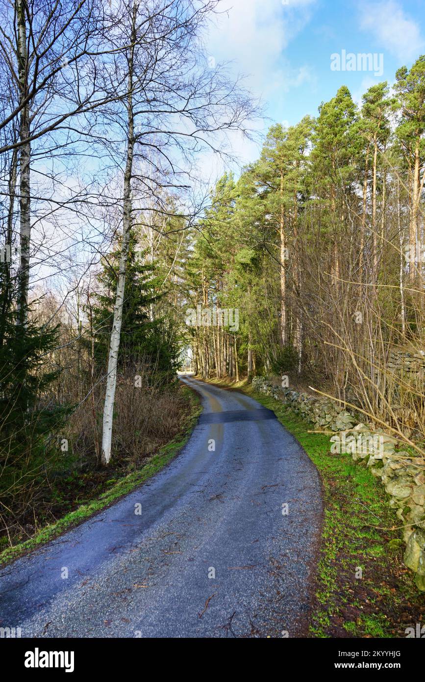 A rural road winding through the woods on sunny day Stock Photo - Alamy