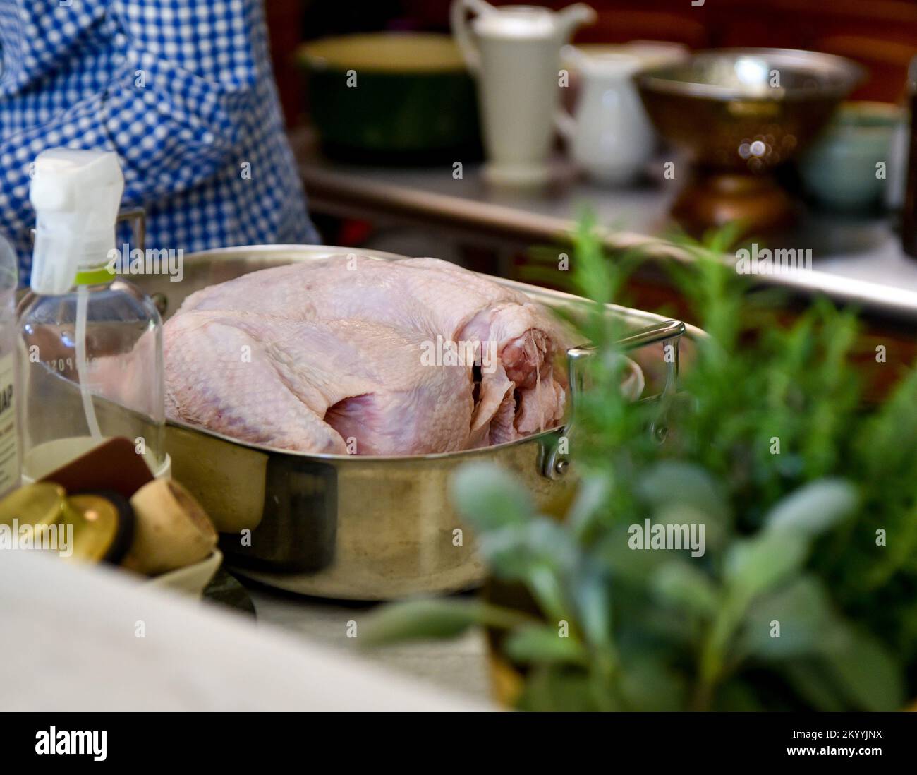 Raw Thanksgiving Turkey in a roasting pan Stock Photo - Alamy
