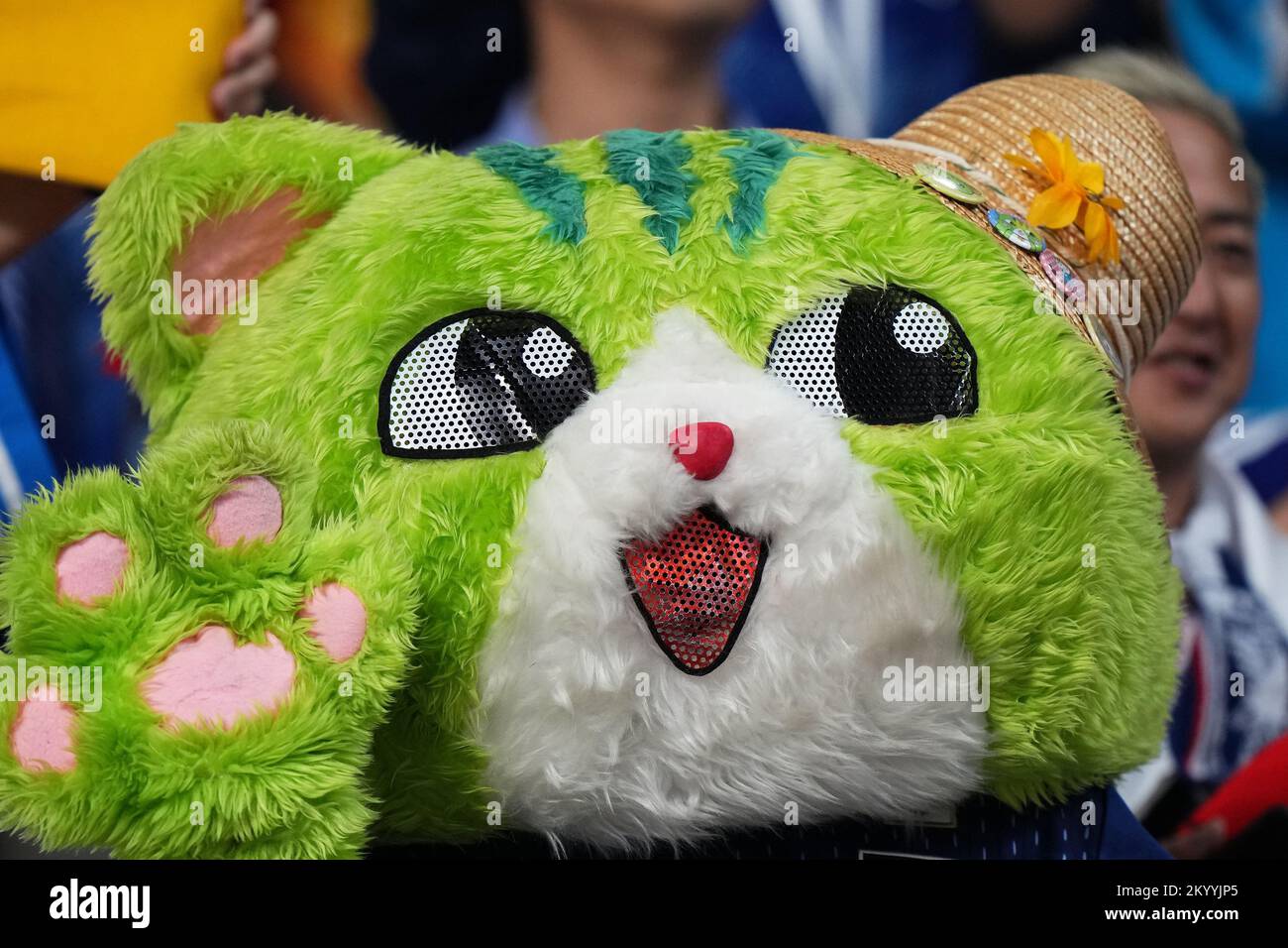 Fan with cat’s head during the FIFA World Cup Qatar 2022 match, Group E ...