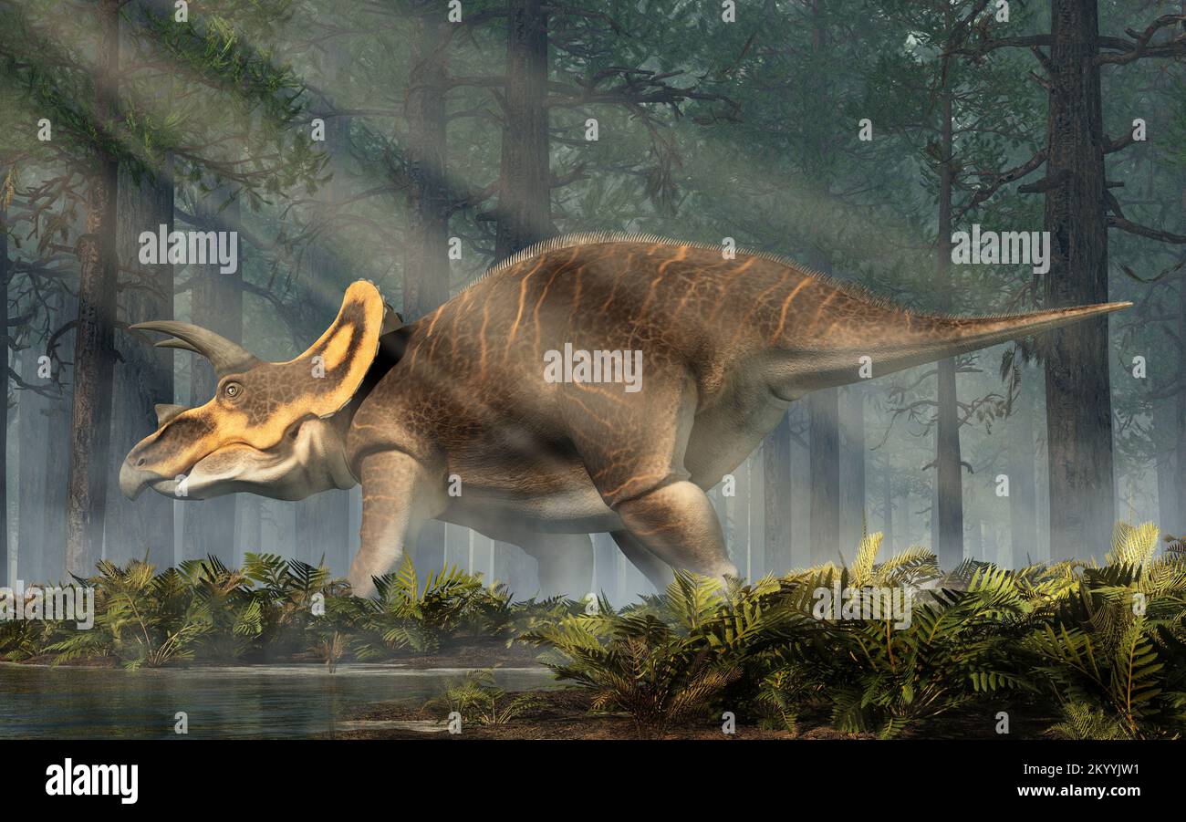 A triceratops, one of the most popular dinosaurs of the Cretaceous ...