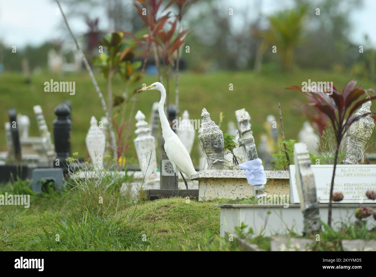 Semariang muslim cemetery hi-res stock photography and images - Alamy