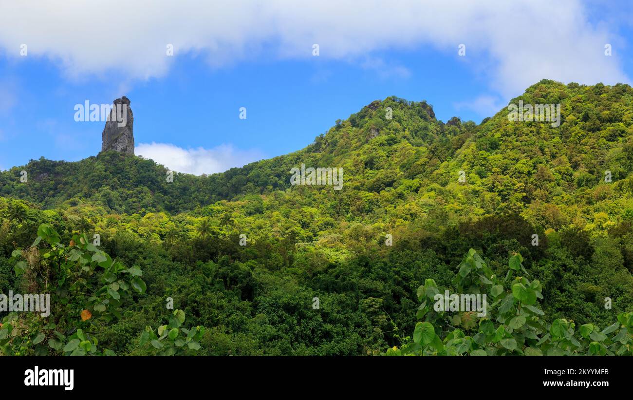 The densely forested mountains in the center of the tropical island of ...