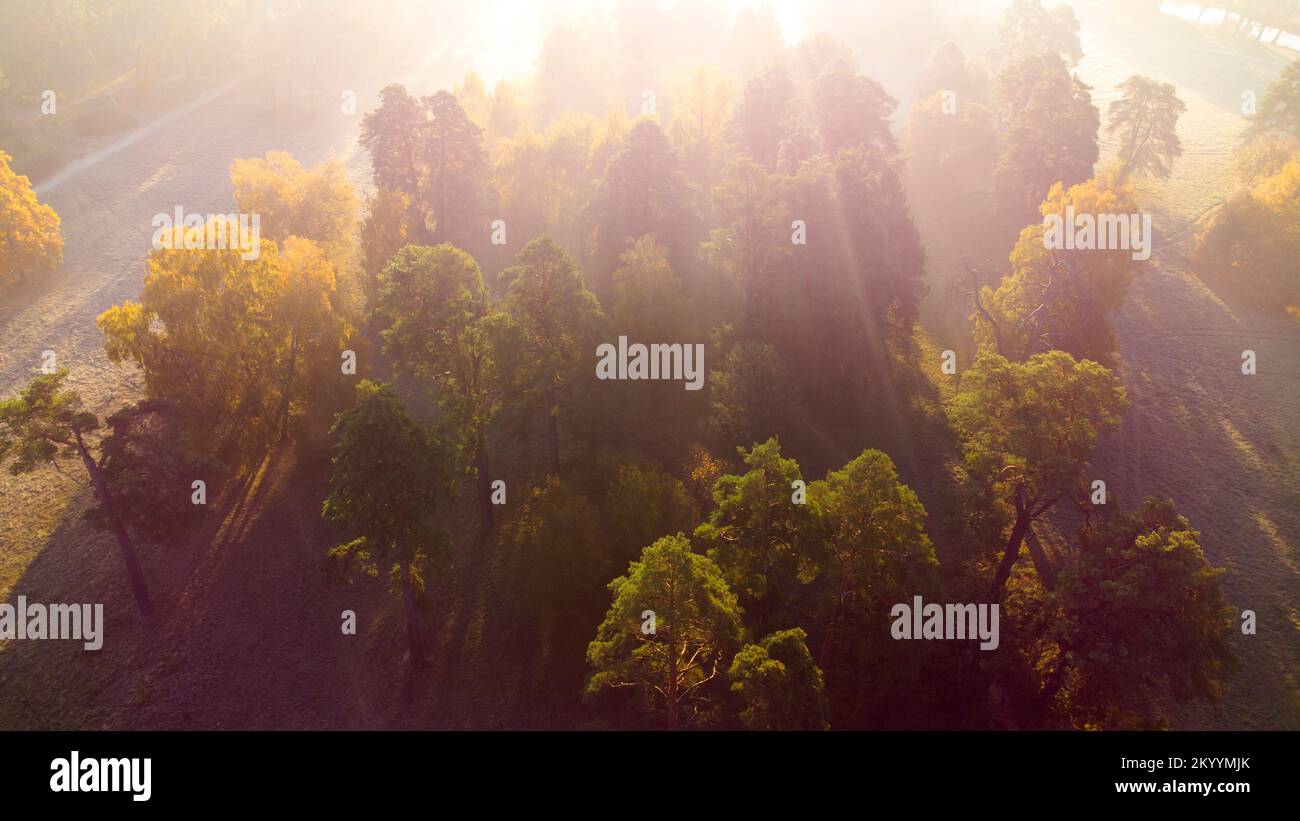 Summer woodland flying over top hi-res stock photography and images - Alamy