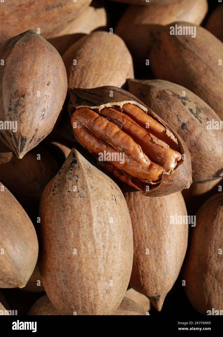 close up of pecan nuts in shell, one nut cracked, background Stock ...