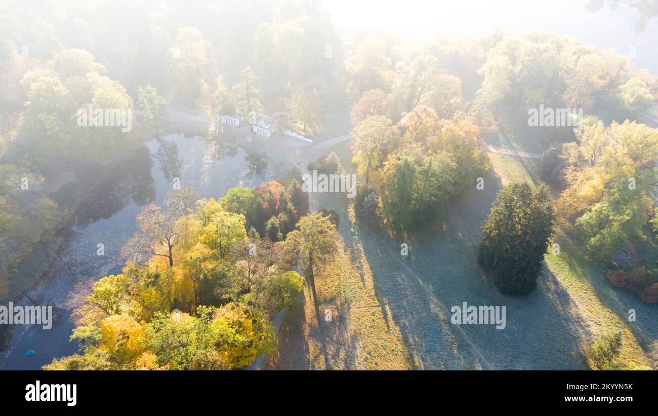 Aerial flying over trees with yellow leaves, lake, columns and walking ...