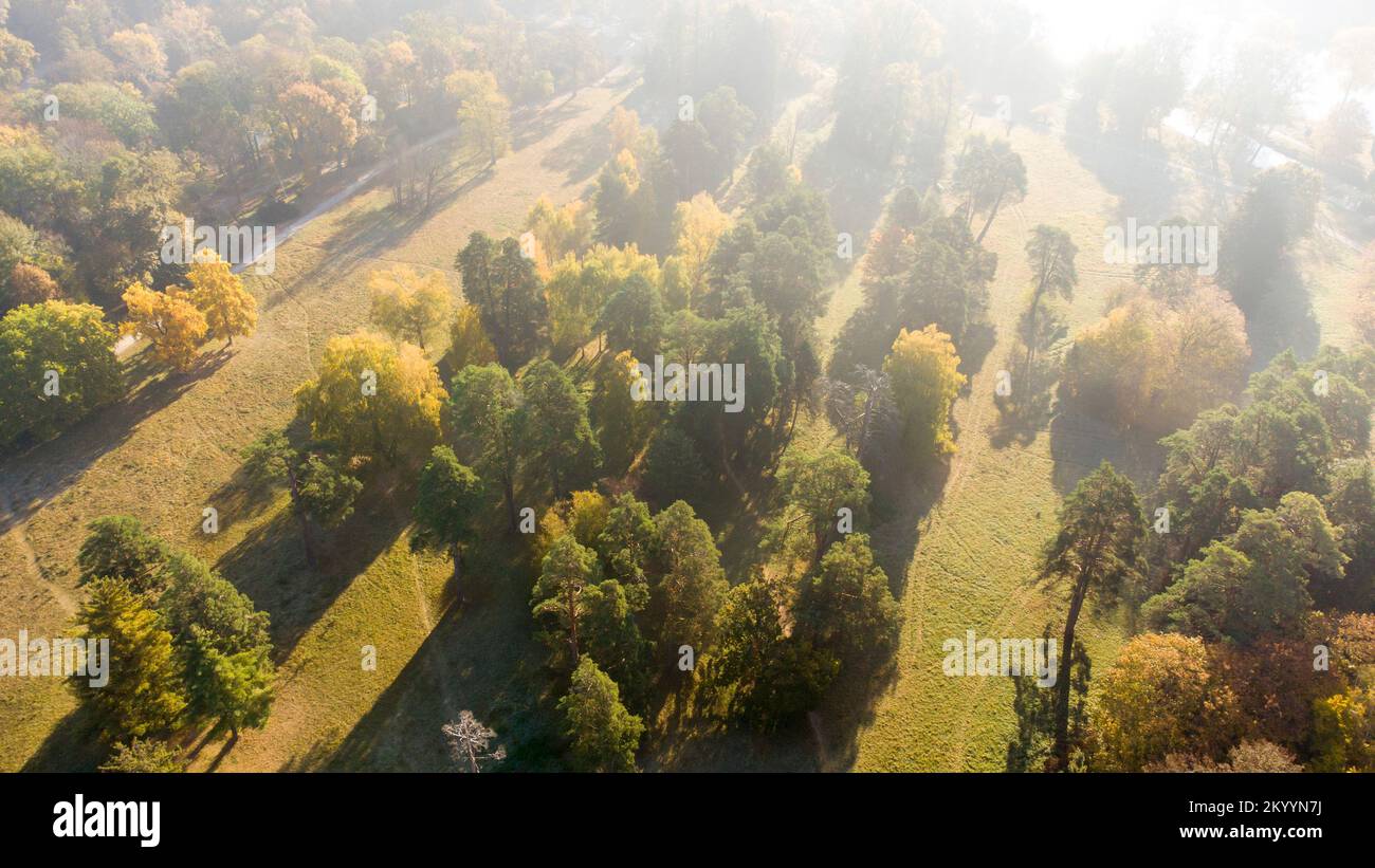 Flying over autumn trees, meadow in park on sunny bright day. Top view ...