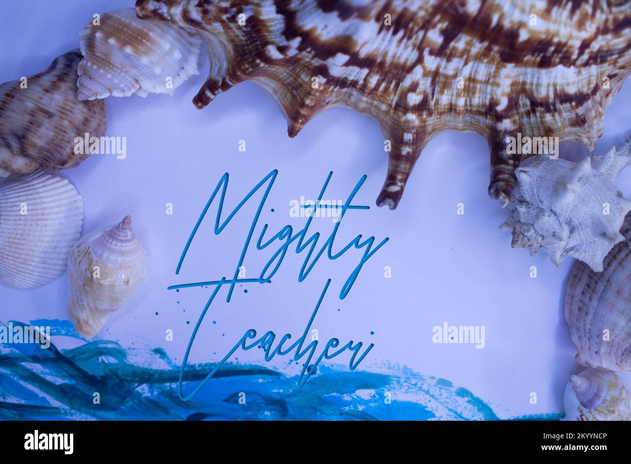Animal Shell, Summer vacation, marine background with Mighty Teacher ...