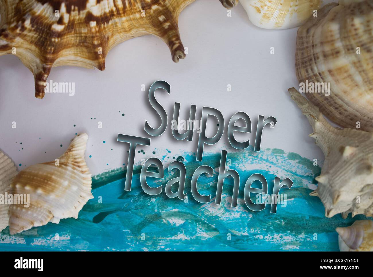 Animal Shell, Summer vacation, marine background with Super Teacher ...