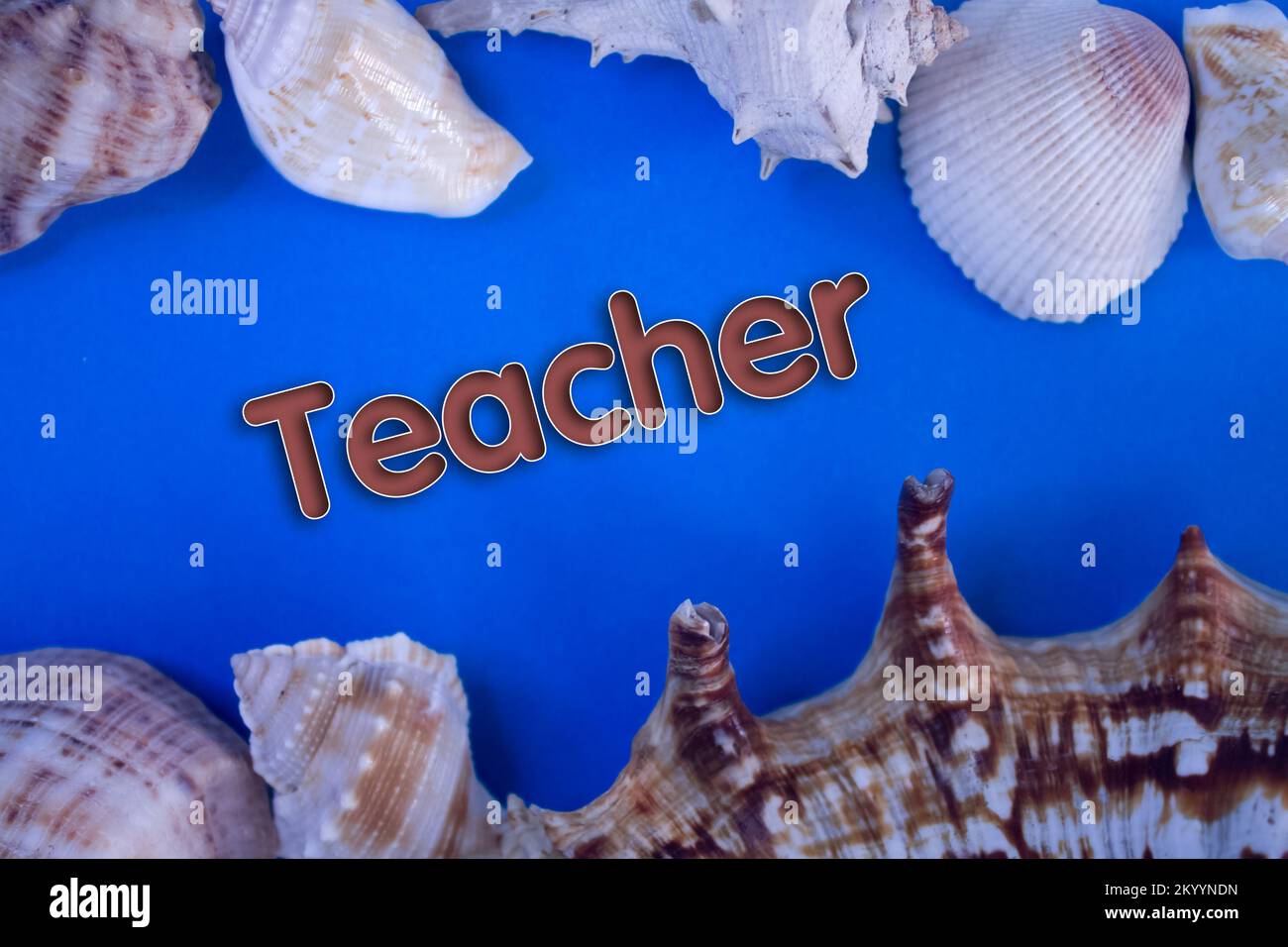 Animal Shell, Summer vacation, marine background with Teacher text ...