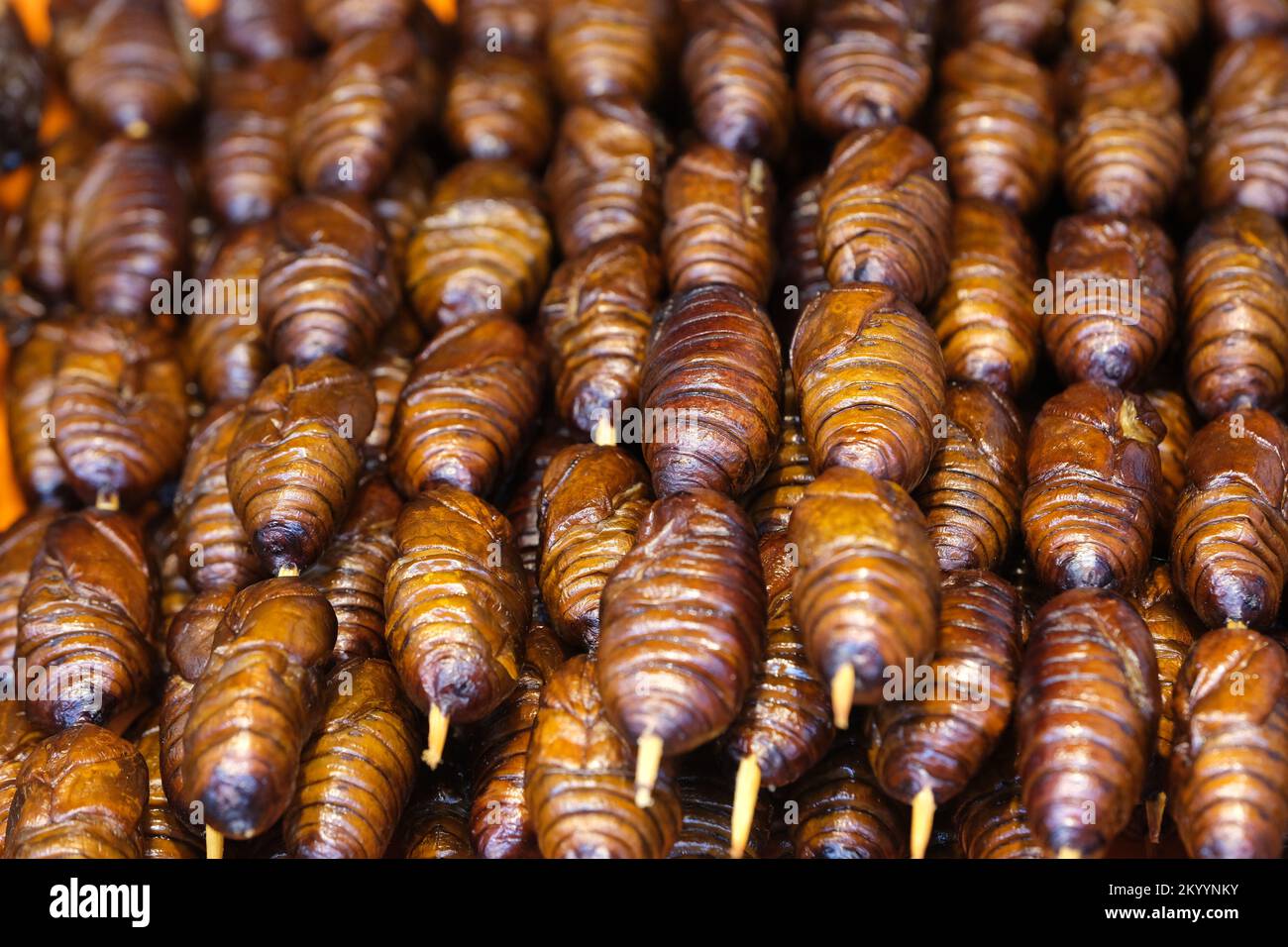 close up many strings of fried Silkworm Chrysalis background. Asian ...