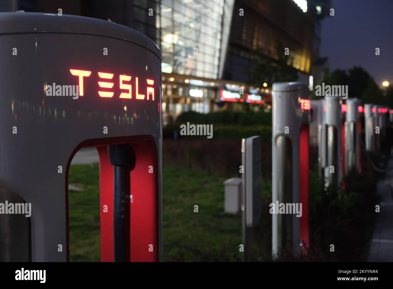 Beijing,China-September 11th 2022: close up Tesla brand logo on a row ...