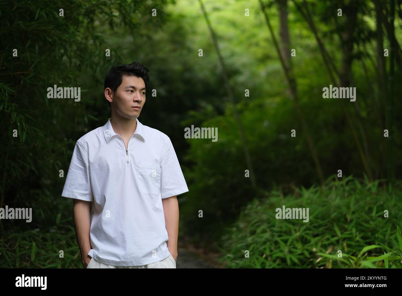Handsome Asian young man at green bamboo grove, looking away Stock ...