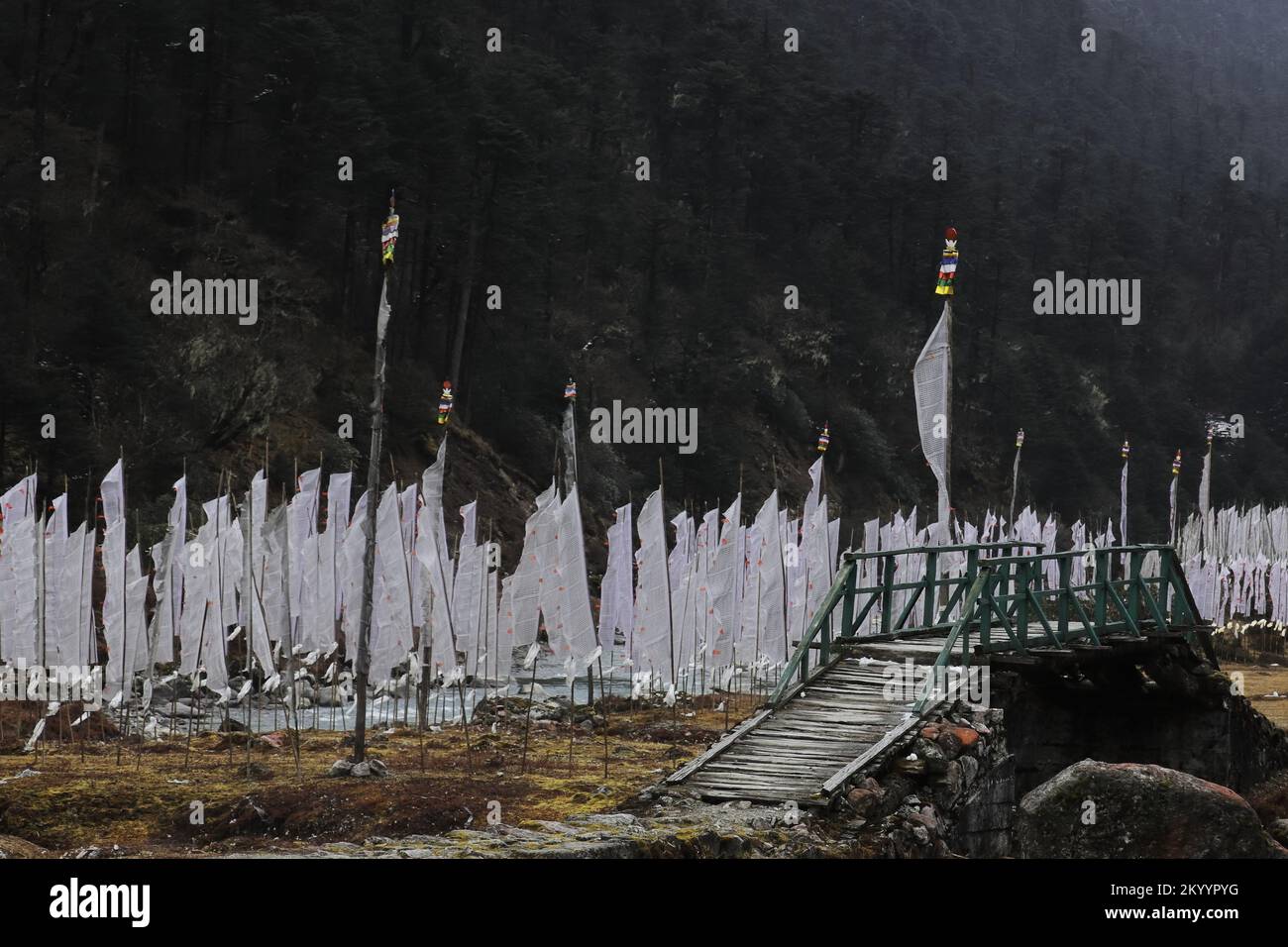beautiful rural landscape of remote area of north sikkim near yumthang ...