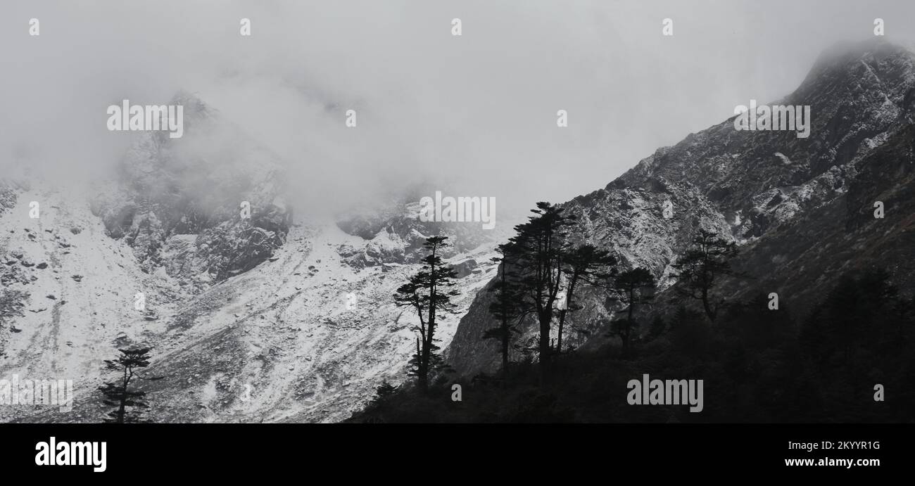 misty snowcapped himalaya mountains alpine forest of rhododendron ...
