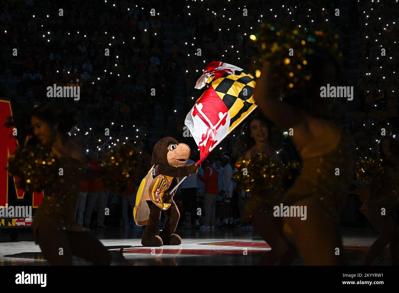 December 02, 2022: Maryland Terrapins mascot waves the Maryland flag ...