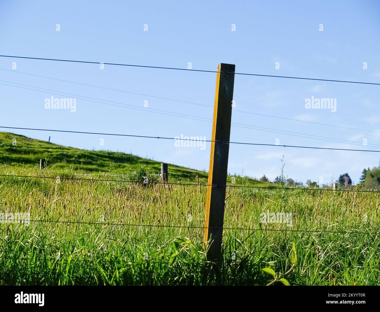 Rural background though wire fence in New Zealand Stock Photo - Alamy