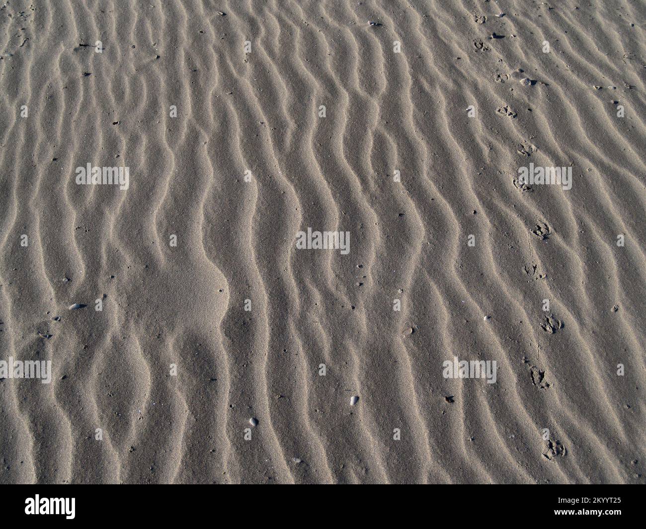 Sand patterns wavy ripples on beach Stock Photo - Alamy