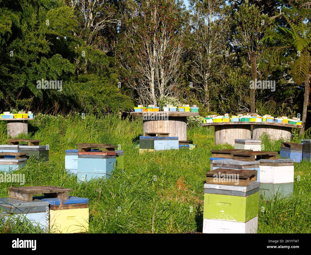 Colourful Beehives in field Stock Photo - Alamy