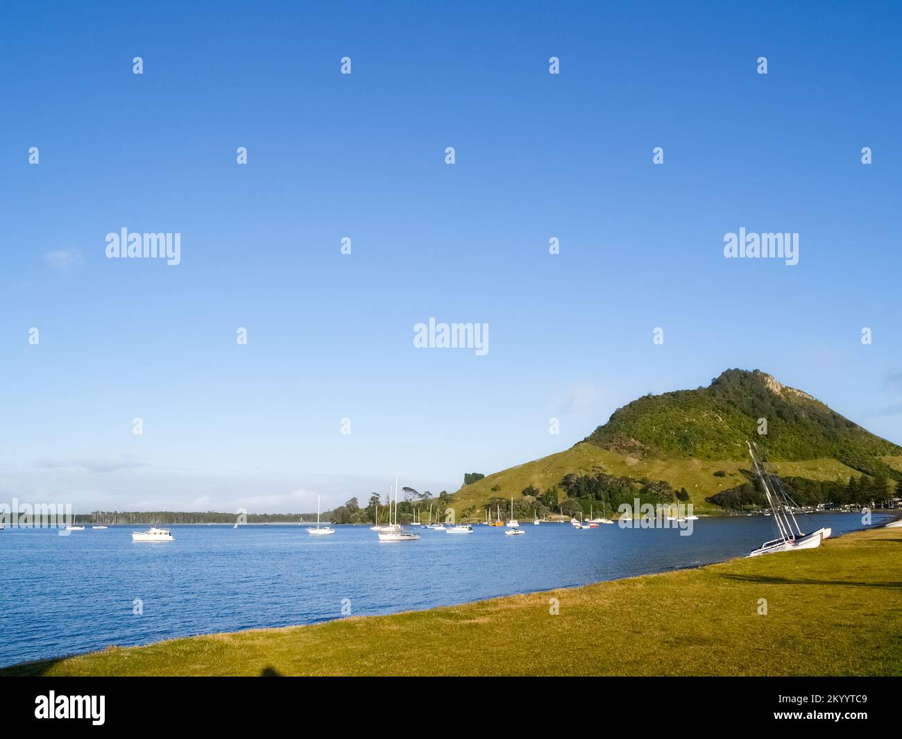 Scenic Pilot Bay Mount Maunganui in morning light Stock Photo - Alamy
