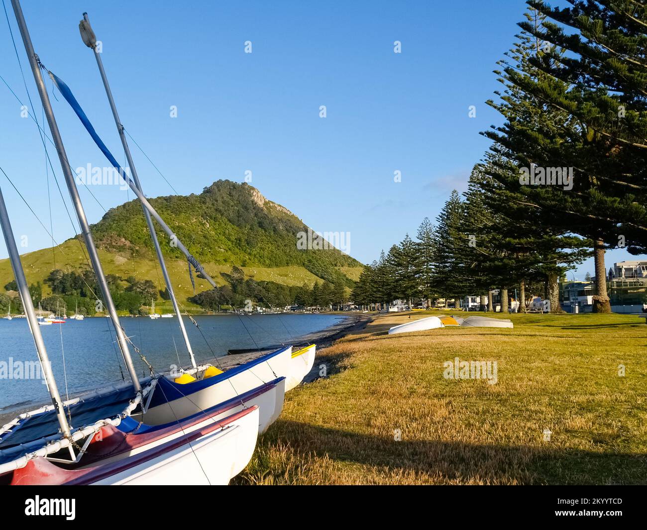 Scenic Pilot Bay Mount Maunganui in morning light Stock Photo - Alamy