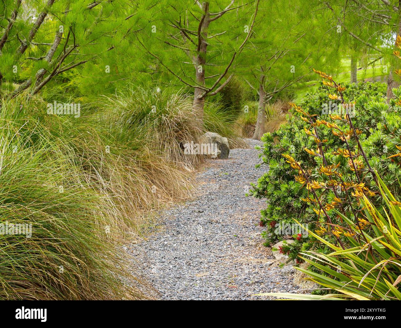 Gravel path leading through garden and trees in New Zealand Stock Photo ...