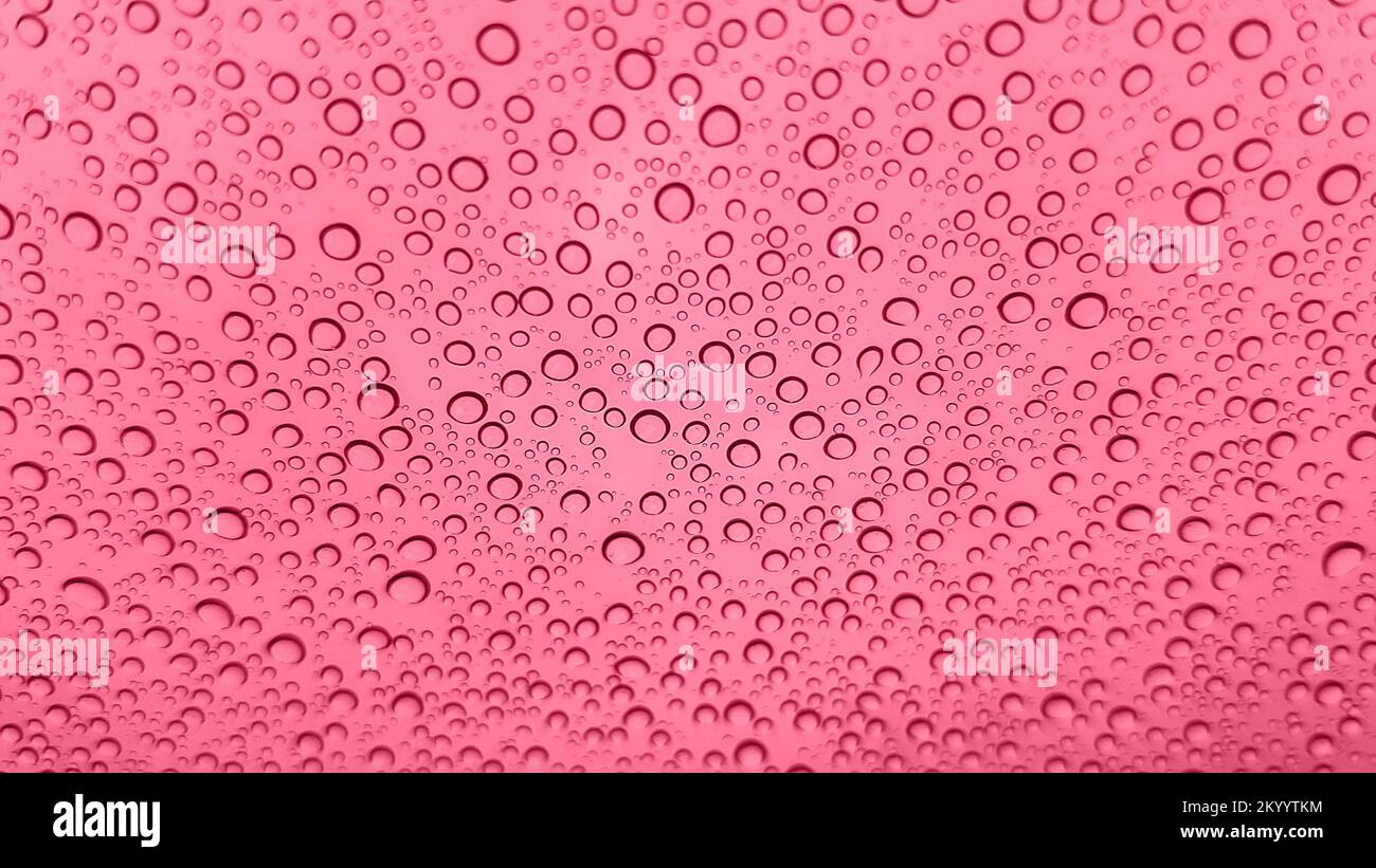 Color of year 2023 Viva Magenta. Abstract image of rain drops on glass ...