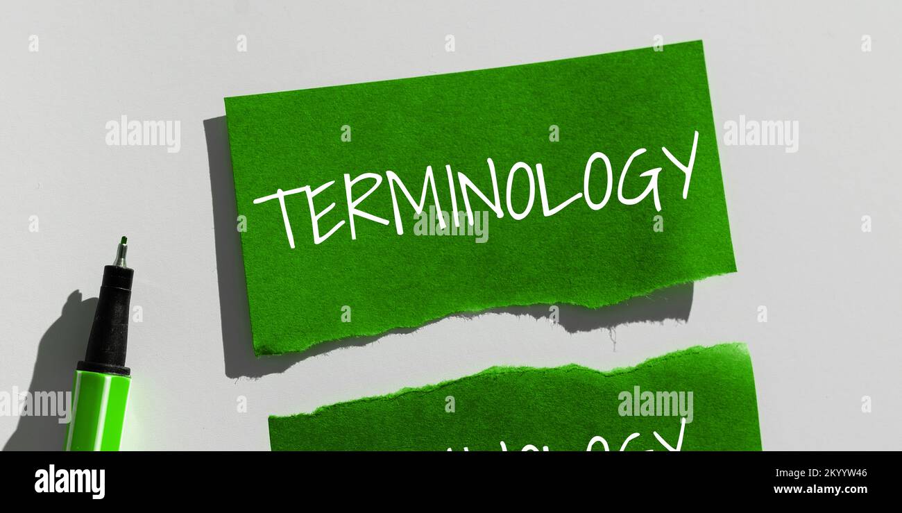 Conceptual display Terminology. Concept meaning Terms used with ...