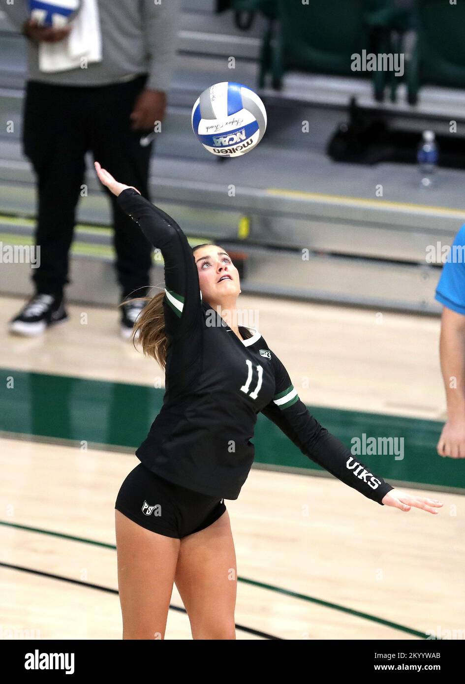 Ellie lawson hi-res stock photography and images - Alamy