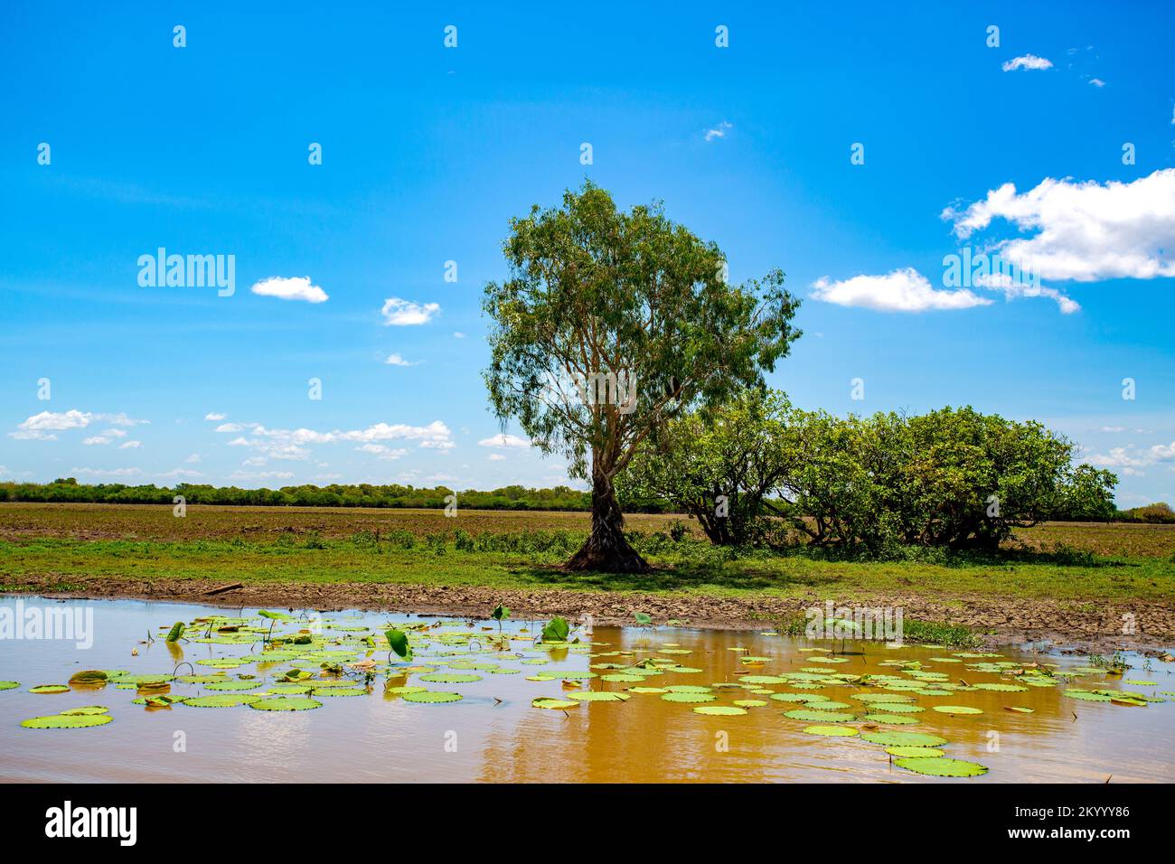 Billabongs hi-res stock photography and images - Alamy
