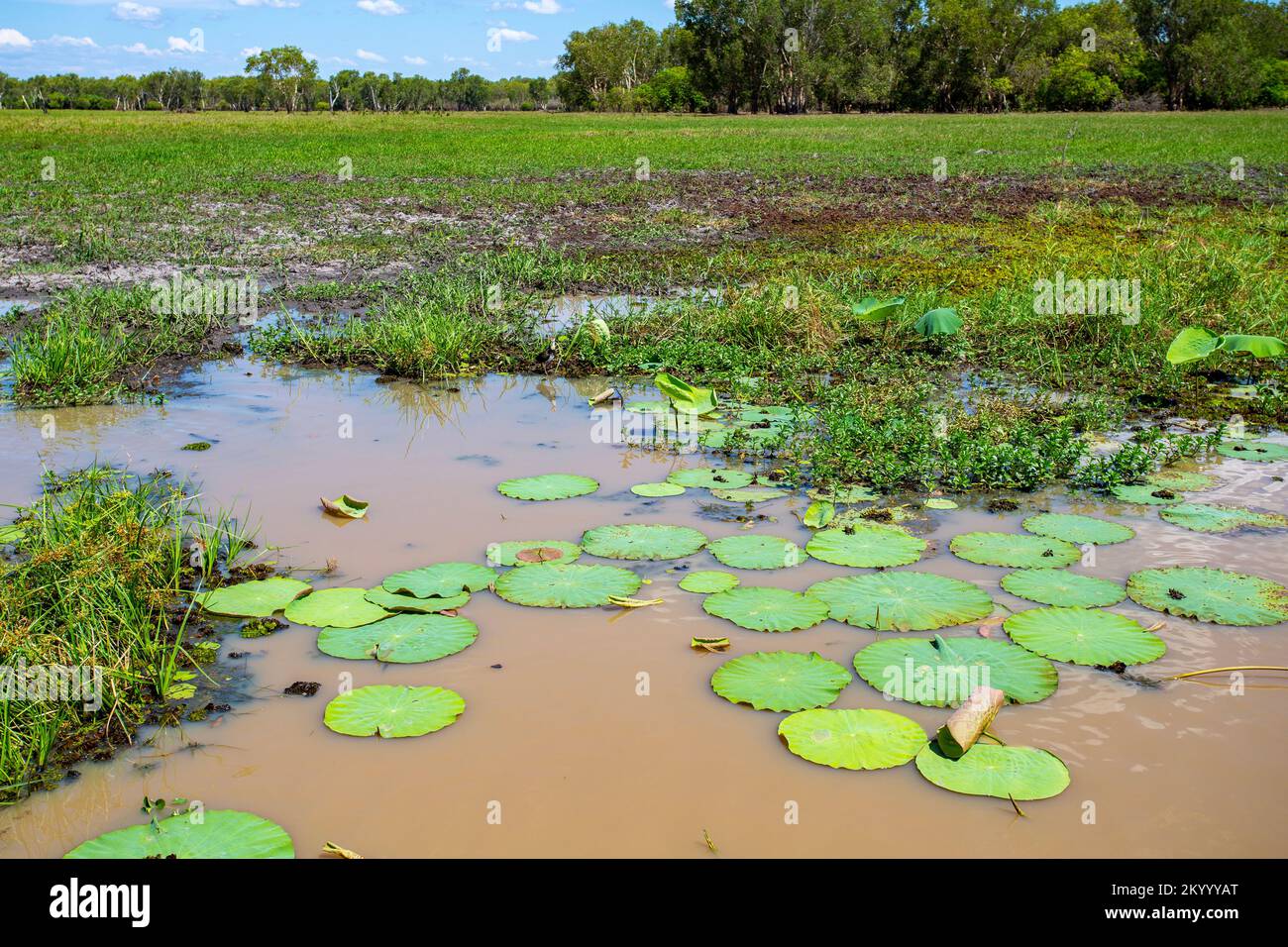 Billabongs hi-res stock photography and images - Alamy