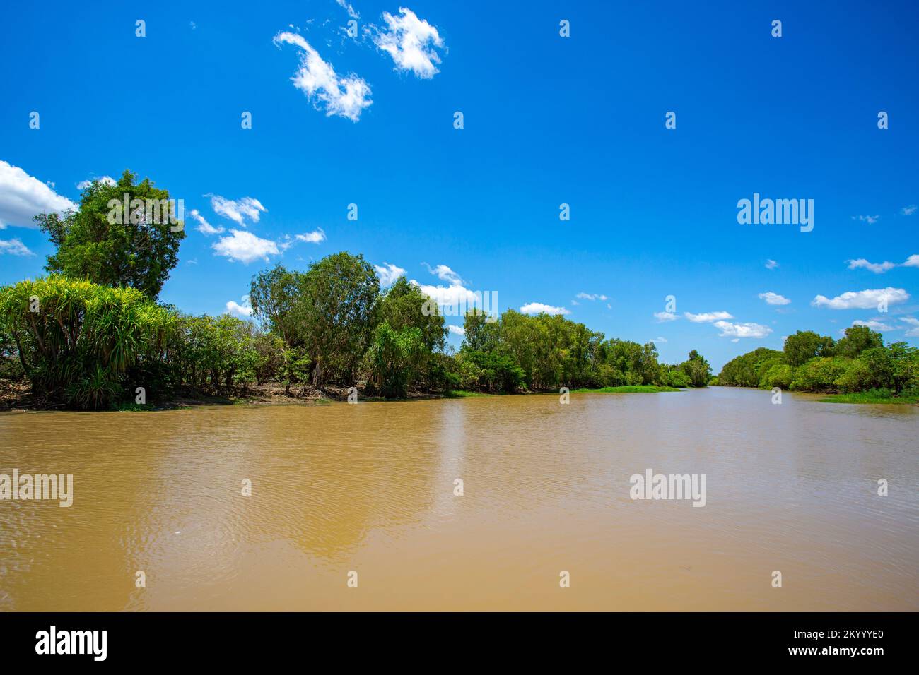 View of the monsoon forest along the banks of the South Alligator River ...