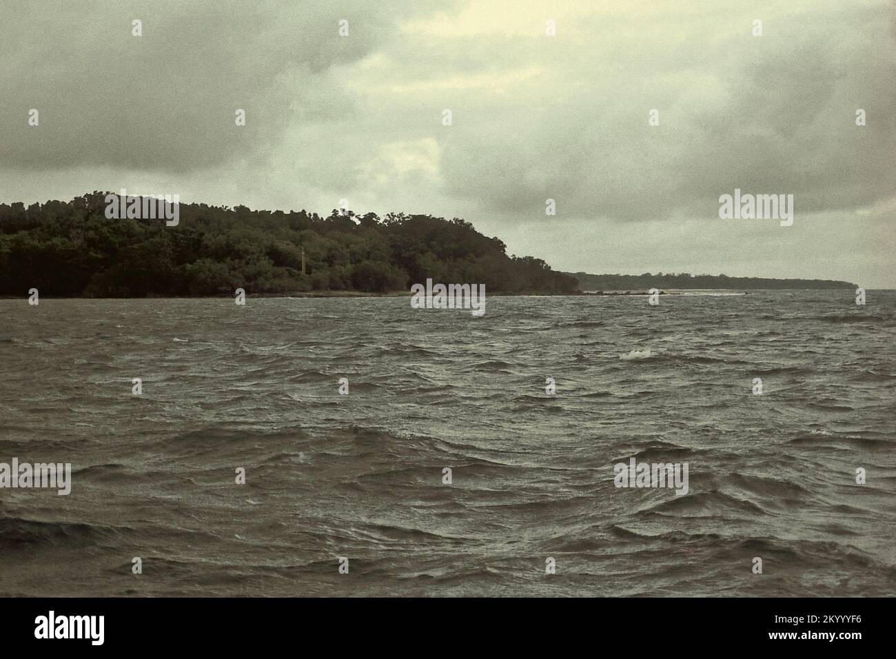 A view of Ujung Kulon National Park, as seen from a boat moving on ...