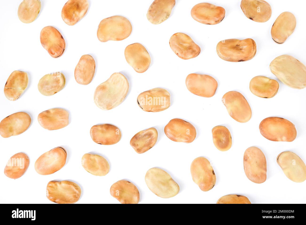Fava bean background pattern isolated over white Stock Photo - Alamy