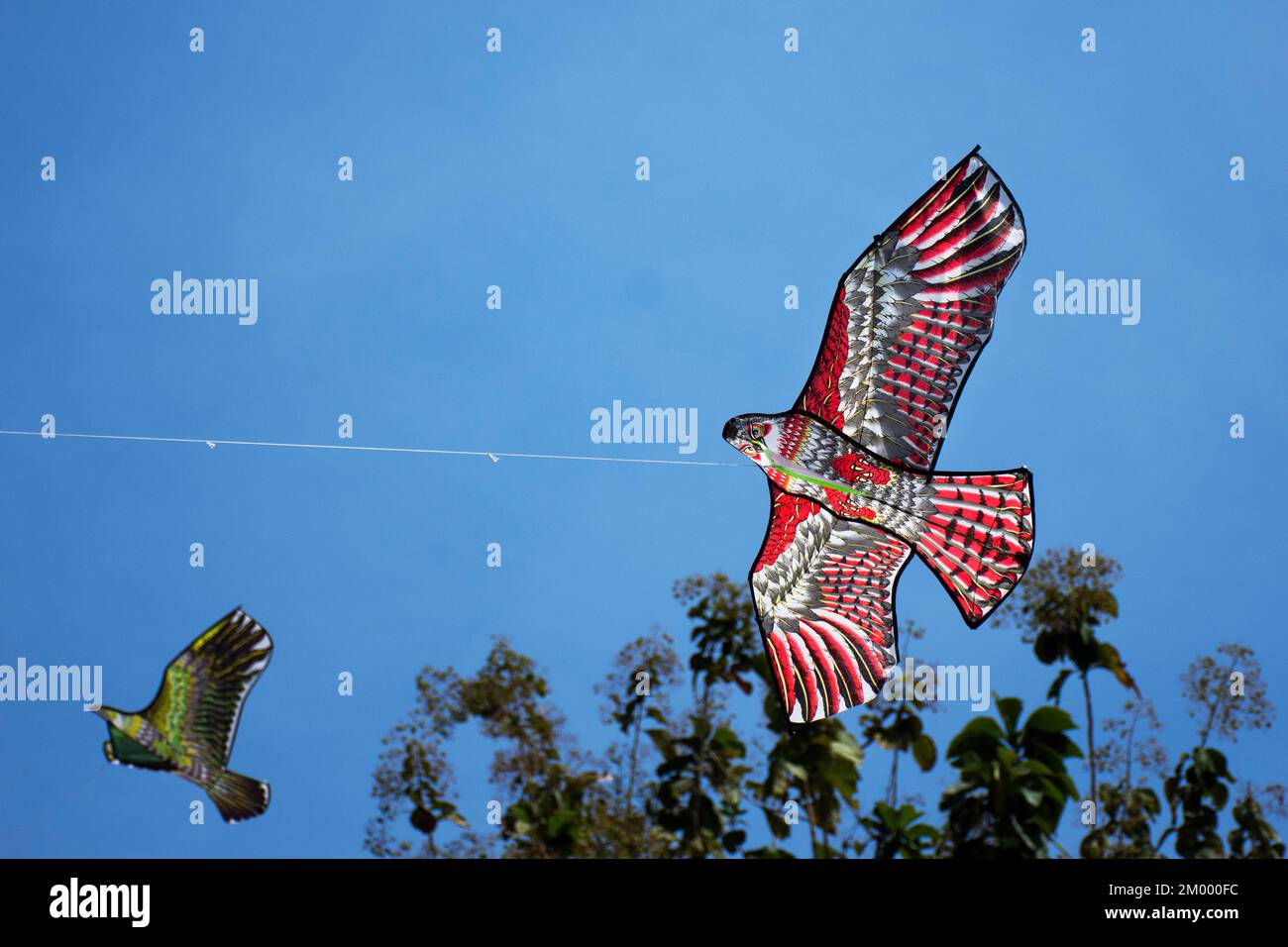 Handmade creative art colorful kite thai image style flying for thai ...