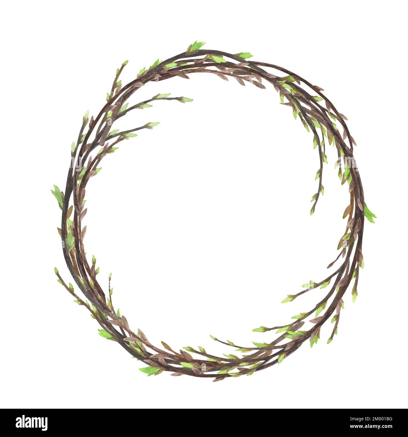 Willow wreath watercolor with spring twigs, green leaves isolated on ...